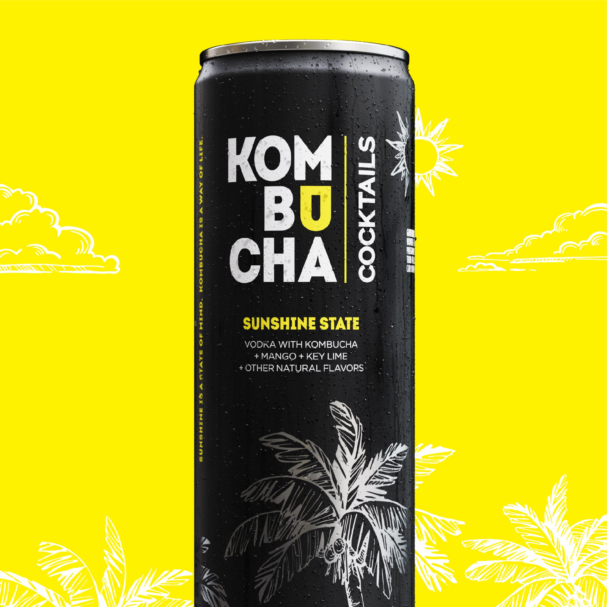 KOMBUCHA COCKTAILS US